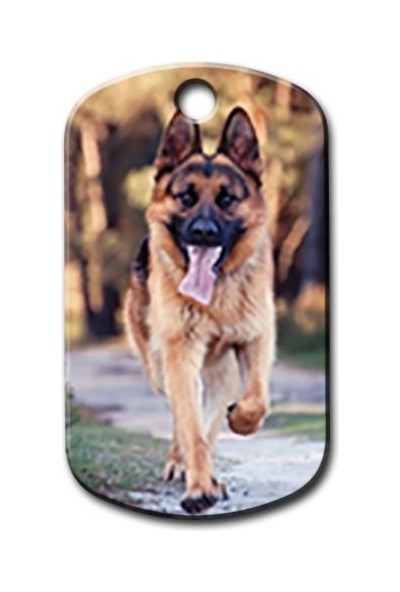 See Me Alman Kurdu Resimli Köpek Künyesi