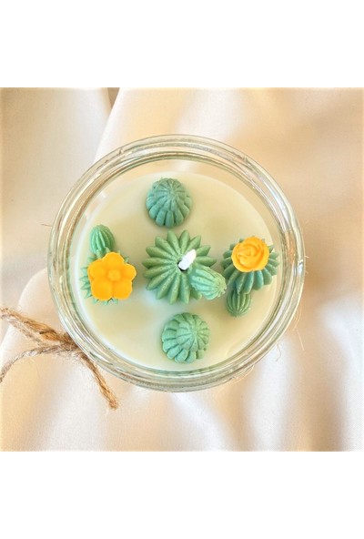 Mumdan Candle Hanımeli Kokulu Çiçek Açan Kaktüsler Kavanoz Soya Mum Candle Mumdan Candle Hanımeli Kokulu Çiçek Açan Kaktüsler Kavanoz Soya Mum Candle
