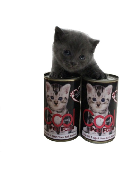 Pet Food Energy Yavru Kedi Konserve Yaş Mama Kuzu Etli ve Ciğerli Kedi Maması Pet Food Energy Yavru Kedi Konserve Yaş Mama Kuzu Etli ve Ciğerli Kedi Maması