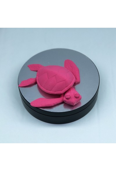 3D Hareketli Kaplumbağa Figürlü Oyuncak