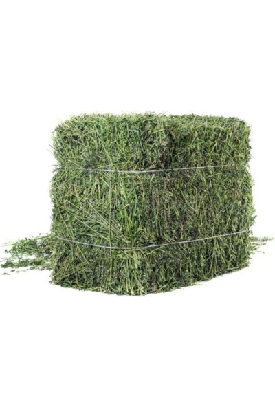 Birdlife Doğal Yavru Tavşan Kuru Yonca Otu 350GR. Birdlife Doğal Yavru Tavşan Kuru Yonca Otu 350GR.