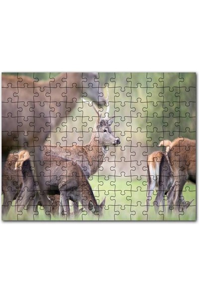 Cakapuzzle Çayırda Otlayan Ren Geyikleri 1000 Parça Puzzle Yapboz Mdf (Ahşap) Cakapuzzle Çayırda Otlayan Ren Geyikleri 1000 Parça Puzzle Yapboz Mdf (Ahşap)