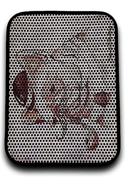 Gökcan Pet Kedi Kumu Paspası Elekli Yeni Sezon 45 x 60 cm