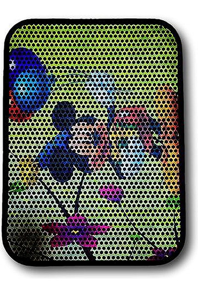 Gökcan Pet Kedi Kumu Paspası Elekli Yeni Sezon 45 x 60 cm