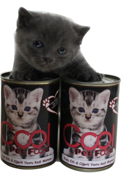 Mycoolpetfood Yavru Kedi Konserve Yaş Mama 6'lı Paket Kuzu Etli ve Ciğerli Kedi Maması Mycoolpetfood Yavru Kedi Konserve Yaş Mama 6'lı Paket Kuzu Etli ve Ciğerli Kedi Maması