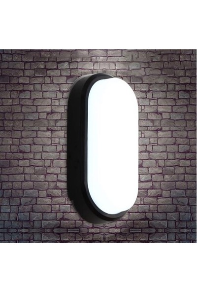 15W Oval LED Nem Su Geçirmez Banyo Bahçe Modern Tavan Lambası 15W Oval LED Nem Su Geçirmez Banyo Bahçe Modern Tavan Lambası