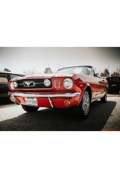 Mustang 3D Poster - 3 Boyutlu Tek Parça Duvar Kağıdı Mustang 3D Poster - 3 Boyutlu Tek Parça Duvar Kağıdı