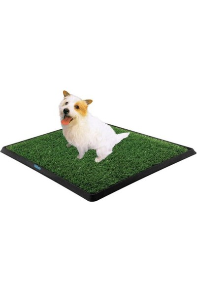Smg Pet Park Evcil Köpek Tuvalet Eğitim Seti Smg Pet Park Evcil Köpek Tuvalet Eğitim Seti