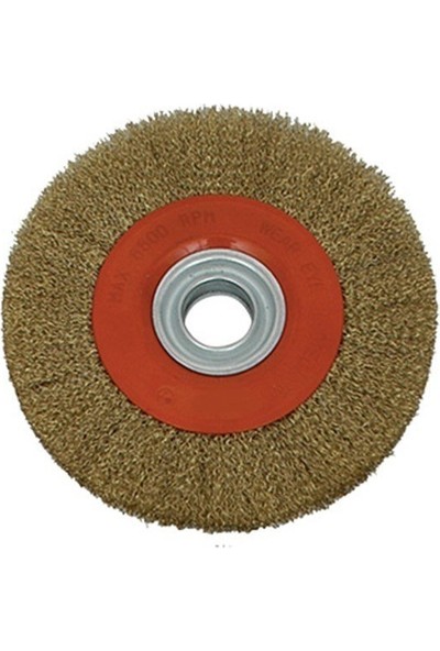 Koyuncuoğlu 100 mm Sacaklı Daire Tel Fırça Koyuncuoğlu 100 mm Sacaklı Daire Tel Fırça