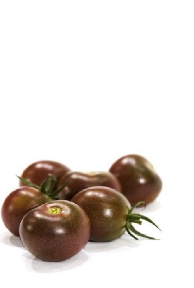 Fidanistanbul Siyah Cherry Domates Fidesi 10 Adet Fidanistanbul Siyah Cherry Domates Fidesi 10 Adet