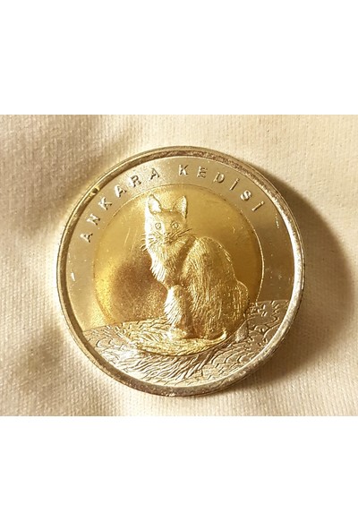 Darphane Ankara Kedisi Hayvanlar Serisi 2010 Çil Darphane Ankara Kedisi Hayvanlar Serisi 2010 Çil