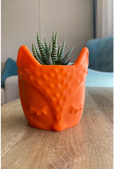 Cestopieno Tilki Figürlü Saksı