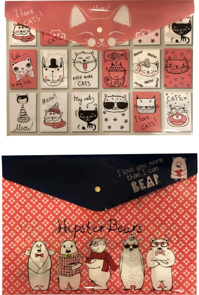 Fly Color Desenli Çıt Çıtlı Dosya 2'li Set