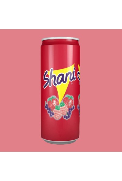 Shani Fruit Flavored Drink 250ML