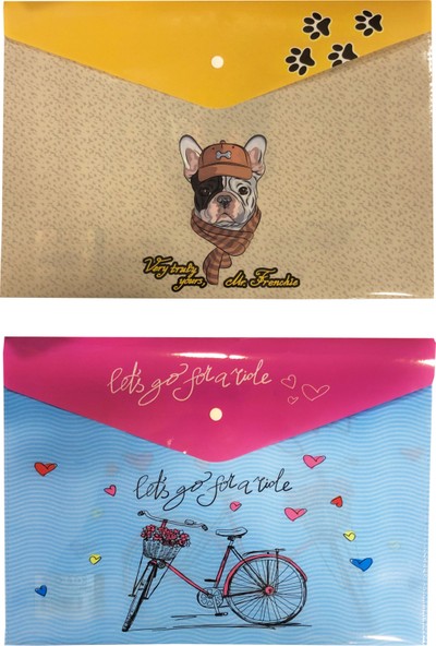 Fly Color Desenli Çıt Çıtlı Dosya 2'li Set