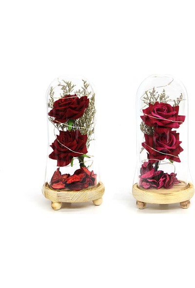 Ern Toptan Işıklı Fanus Gül