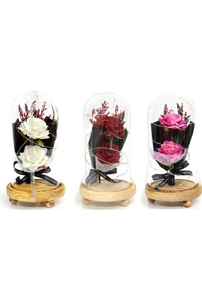 Ern Toptan Işıklı Fanus Gül