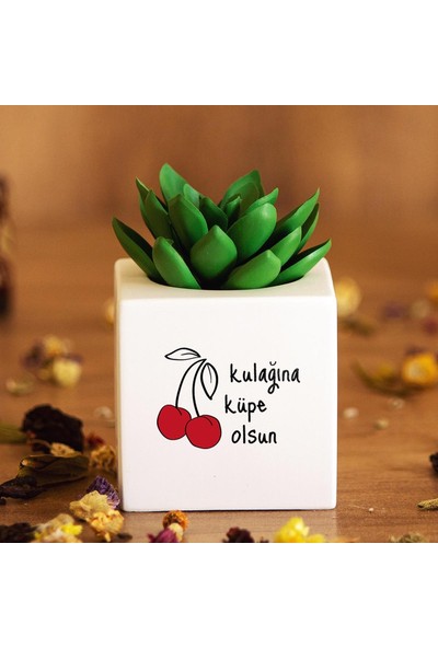 TrendHediye Güldüren Kelimeler Kulağına Küpe Olsun Beton Saksı ve Sukulent TrendHediye Güldüren Kelimeler Kulağına Küpe Olsun Beton Saksı ve Sukulent