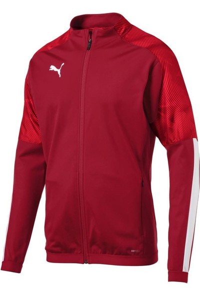 Puma Erkek Ceket Cup Training 65601101