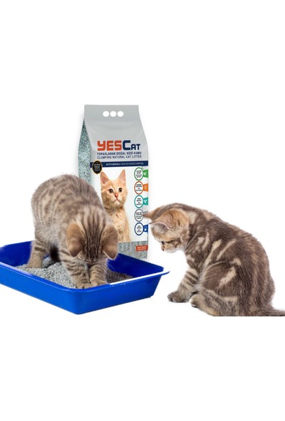 Yescat Doğal Aktif Karbonlu, Hızlı Topaklanan , Kedi Kumu 10 lt Yescat Doğal Aktif Karbonlu, Hızlı Topaklanan , Kedi Kumu 10 lt