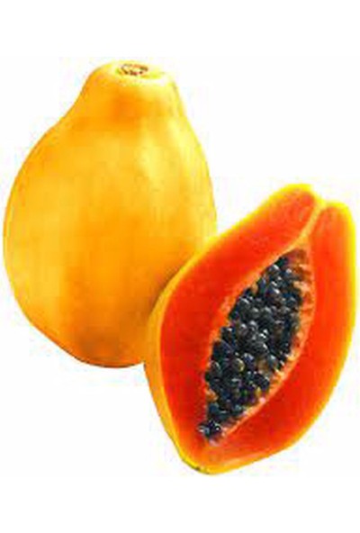 Papaya 1 Adet