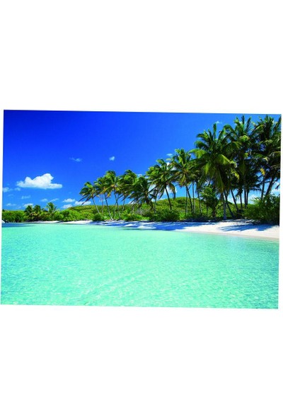 Strade Store Akvaryum Aksesuarı (Yurt Dışından)