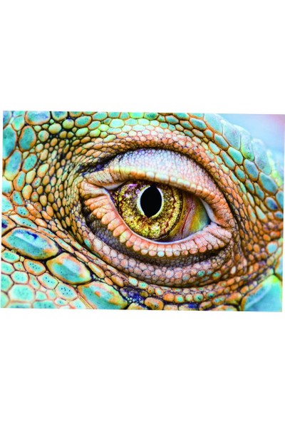 Strade Store Akvaryum Aksesuarı (Yurt Dışından)