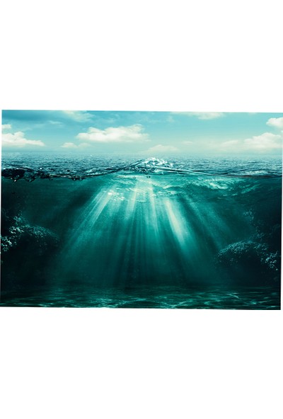 Strade Store Akvaryum Aksesuarı (Yurt Dışından)