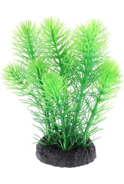 Strade Store Akvaryum Aksesuarı (Yurt Dışından)