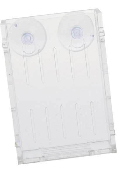 Strade Store Akvaryum Aksesuarı (Yurt Dışından)