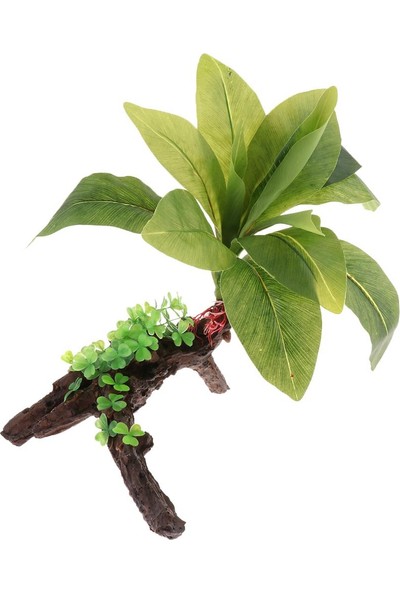 Strade Store Akvaryum Aksesuarı (Yurt Dışından)