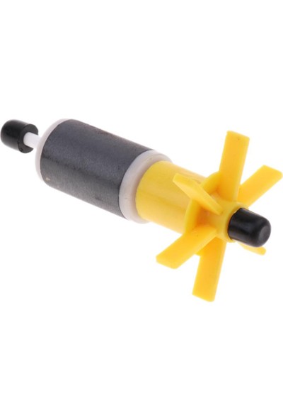 Strade Store Akvaryum Aksesuarı (Yurt Dışından)