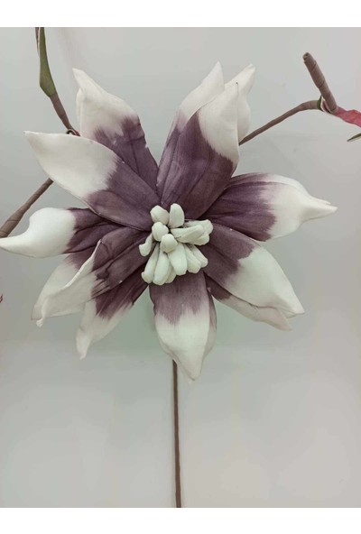 Yapay Latex Manolya Dal Tekli