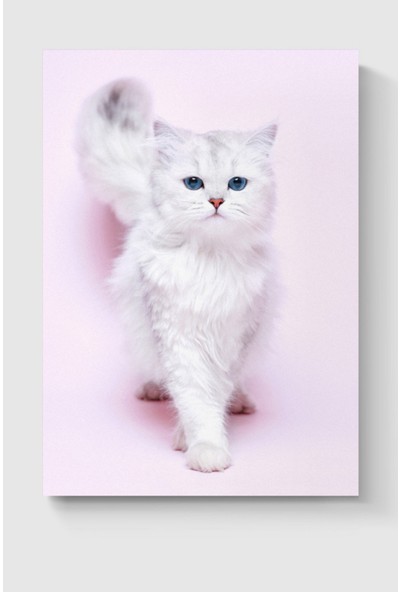 DuoArt Beyaz Gri Kedi Poster - Yüksek Çözünürlük Hd Duvar Posteri - Çerçevesiz DuoArt Beyaz Gri Kedi Poster - Yüksek Çözünürlük Hd Duvar Posteri - Çerçevesiz