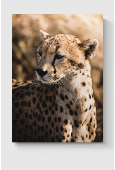 DuoArt Çita Poster - Yüksek Çözünürlük Hd Duvar Posteri - Çerçevesiz DuoArt Çita Poster - Yüksek Çözünürlük Hd Duvar Posteri - Çerçevesiz