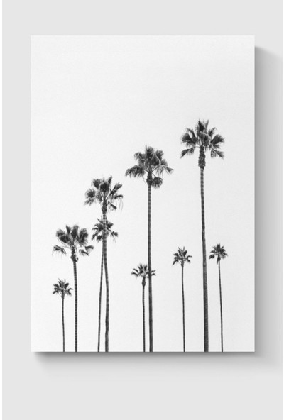 DuoArt Palmiyeler Poster - Yüksek Çözünürlük Hd Duvar Posteri - Çerçevesiz DuoArt Palmiyeler Poster - Yüksek Çözünürlük Hd Duvar Posteri - Çerçevesiz