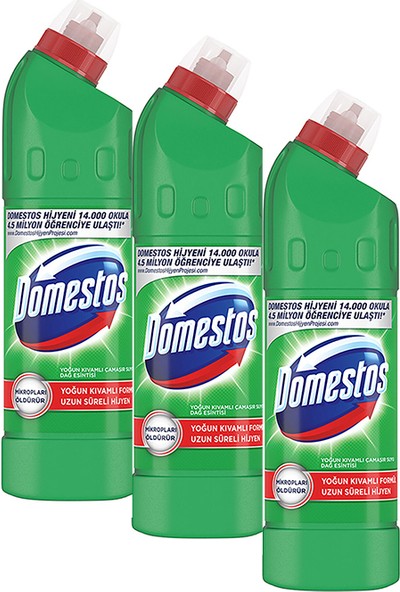 Domestos Çamaşır Suyu 750 ml Dağ Esintisi 3'lü Domestos Çamaşır Suyu 750 ml Dağ Esintisi 3'lü