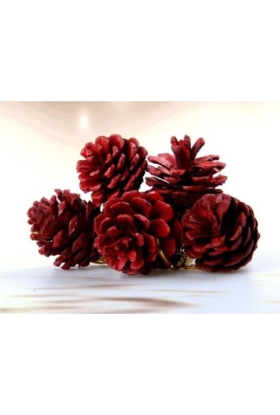 Pazariz Yılbaşı Ağaç Süsü Kozalak 4 cm 6 Parça Pazariz Yılbaşı Ağaç Süsü Kozalak 4 cm 6 Parça