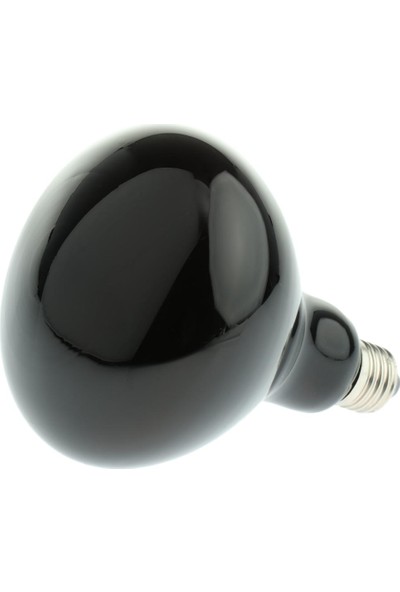 Strade Store Sürüngen Teraryum Aksesuarı (Yurt Dışından) Strade Store Sürüngen Teraryum Aksesuarı (Yurt Dışından)