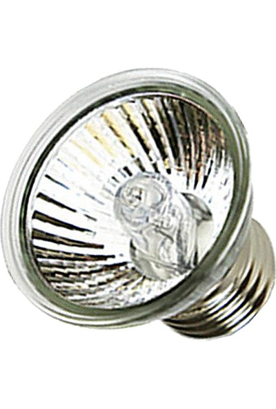 Strade Store Sürüngen Teraryum Aksesuarı (Yurt Dışından) Strade Store Sürüngen Teraryum Aksesuarı (Yurt Dışından)