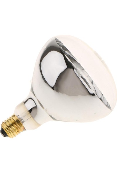 Strade Store Sürüngen Teraryum Aksesuarı (Yurt Dışından) Strade Store Sürüngen Teraryum Aksesuarı (Yurt Dışından)