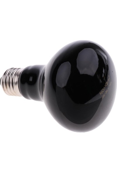 Strade Store Sürüngen Teraryum Aksesuarı (Yurt Dışından) Strade Store Sürüngen Teraryum Aksesuarı (Yurt Dışından)