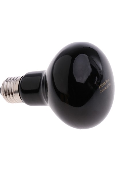 Strade Store Sürüngen Teraryum Aksesuarı (Yurt Dışından) Strade Store Sürüngen Teraryum Aksesuarı (Yurt Dışından)