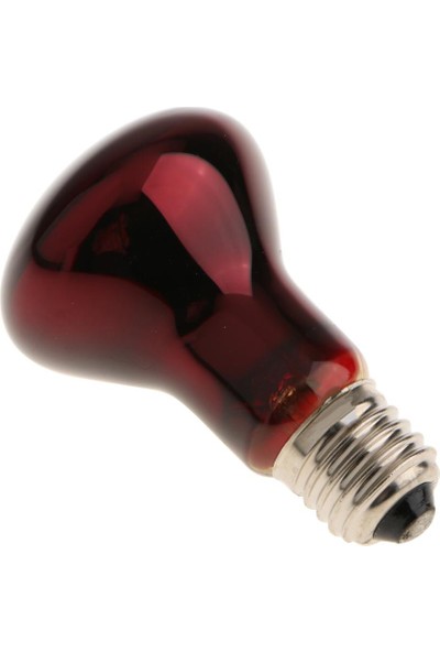 Strade Store Sürüngen Teraryum Aksesuarı (Yurt Dışından) Strade Store Sürüngen Teraryum Aksesuarı (Yurt Dışından)