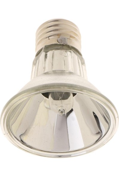 Strade Store Sürüngen Teraryum Aksesuarı (Yurt Dışından) Strade Store Sürüngen Teraryum Aksesuarı (Yurt Dışından)