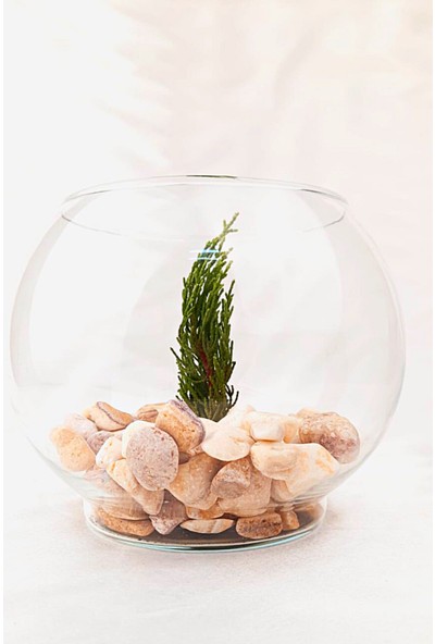 Alyones 1kg Junior Jupiter Dolomit, 0,75/1,5 cm Arası, Akvaryum Dekoru, Saksı Dekoru Alyones 1kg Junior Jupiter Dolomit, 0,75/1,5 cm Arası, Akvaryum Dekoru, Saksı Dekoru
