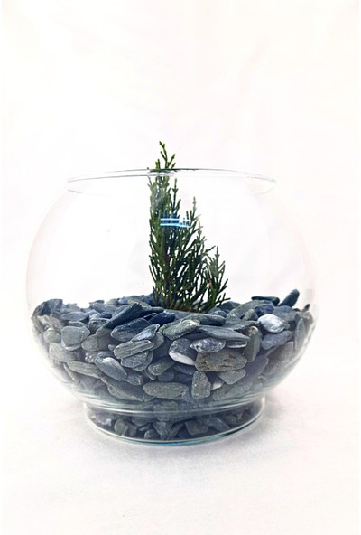 Alyones 1kg Mağara Yassı Dilim Dekor Taşı, 0,75/1.5cm Arası Akvaryum Dekor Aksesuarı Alyones 1kg Mağara Yassı Dilim Dekor Taşı, 0,75/1.5cm Arası Akvaryum Dekor Aksesuarı