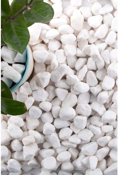 Alyones 1 kg Dolomit Bitkiler, Bahçeler, Akvaryum Çakılları, Alyones 1 kg Dolomit Bitkiler, Bahçeler, Akvaryum Çakılları,