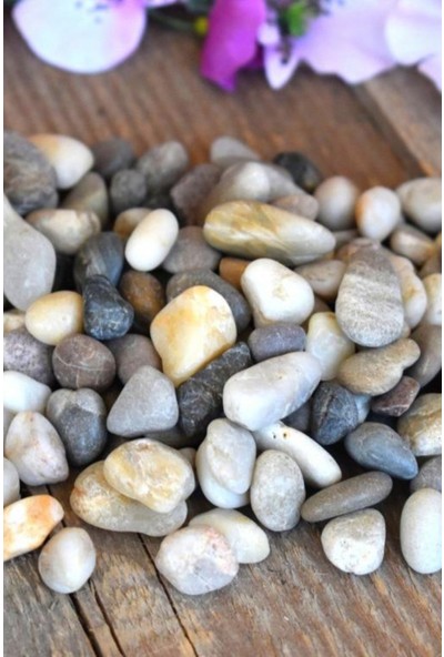 Alyones 1 kg Cilalı Çakıl Taşı, Doğal Cilalı Karışık Renkli Taşlar, Küçük Dekoratif Nehir Taşları Alyones 1 kg Cilalı Çakıl Taşı, Doğal Cilalı Karışık Renkli Taşlar, Küçük Dekoratif Nehir Taşları