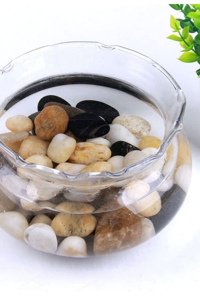 Alyones 5kg Karışık Renkli Cilalı Çakıl Taşları, Doğal Cilalı Dekoratif Taşlar, Peyzaj & Vazo Dolguları Alyones 5kg Karışık Renkli Cilalı Çakıl Taşları, Doğal Cilalı Dekoratif Taşlar, Peyzaj & Vazo Dolguları